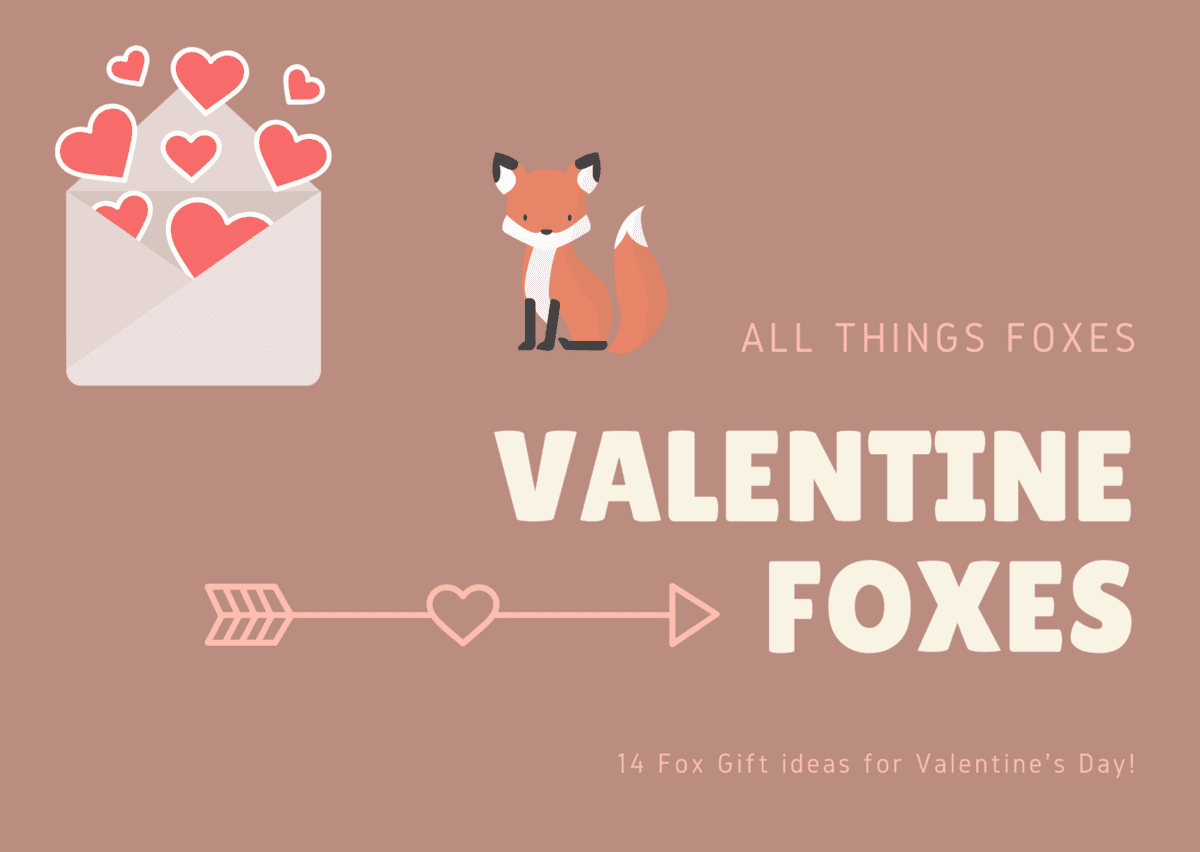 Valentine's Day for Foxes | 14 Fox Gift Ideas - All Things Foxes