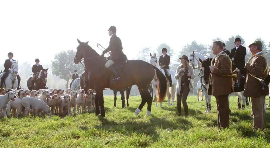 Fox Hunting | The Complete History - All Things Foxes