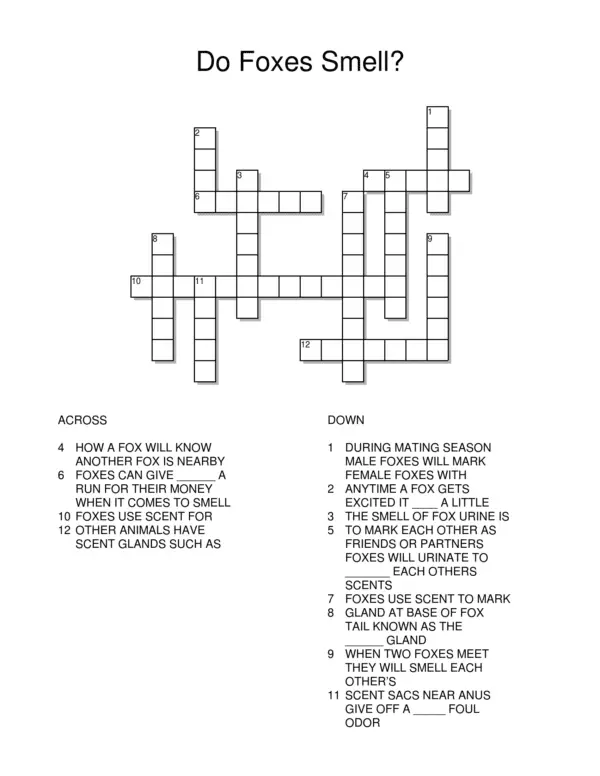 Do Foxes Smell | Scent Marking - All Things Foxes