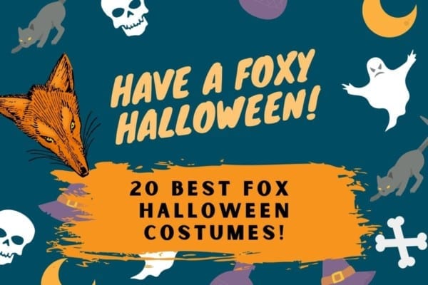 20 Best Fox Costumes | Fox Costumes for Halloween - All Things Foxes